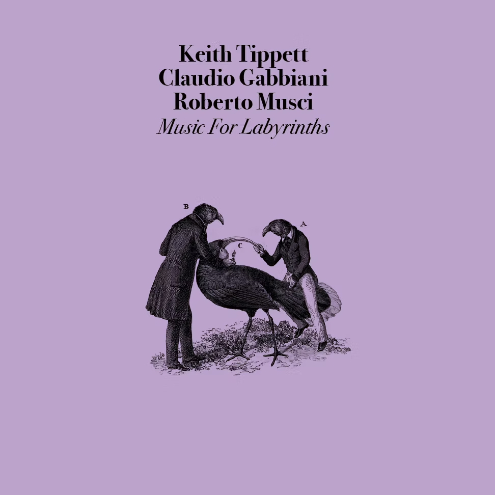 DC021 | Music For Labyrinths – Keith Tippett / Claudio Gabbiani ...